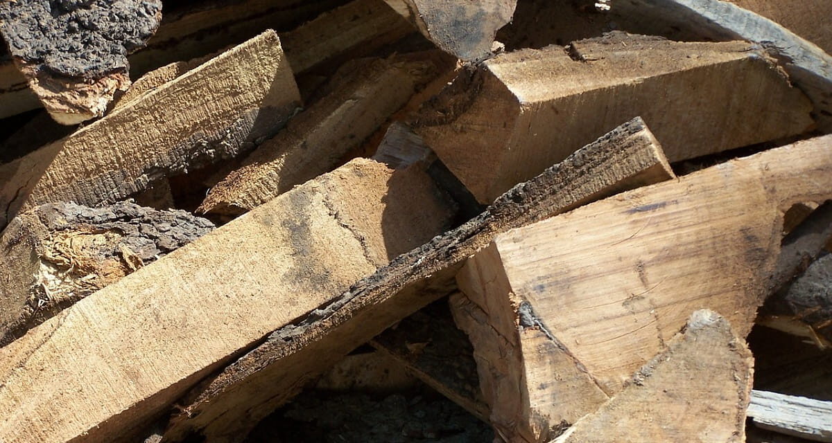 Riciclo del legno: pratica green per una sua nuova vita - DTop-it